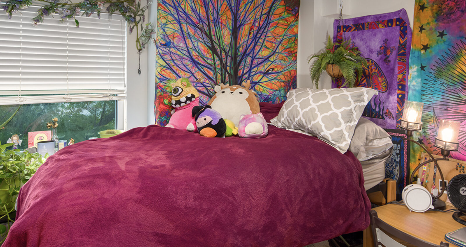 FAQs | Lagoon Landing